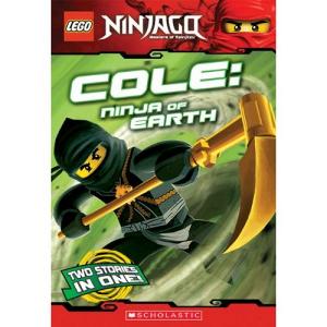 Bricker - Construction Toy by LEGO SCHNinjaCole LEGO Ninjago Chapter ...
